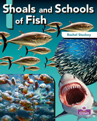 楽天ブックス: Shoals and Schools of Fish - Rachel Stuckey - 9781039806559 : 洋書