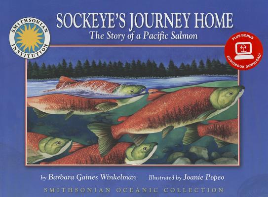 楽天ブックス: Sockeye's Journey Home: The Story of a Pacific Salmon - Barbara ...