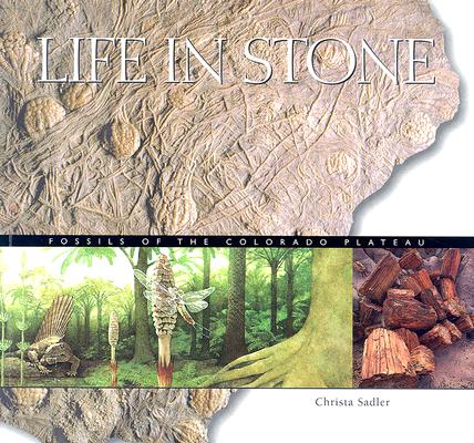 楽天ブックス: Life in Stone: Fossils of the Colorado Plateau - Christa Sadler ...