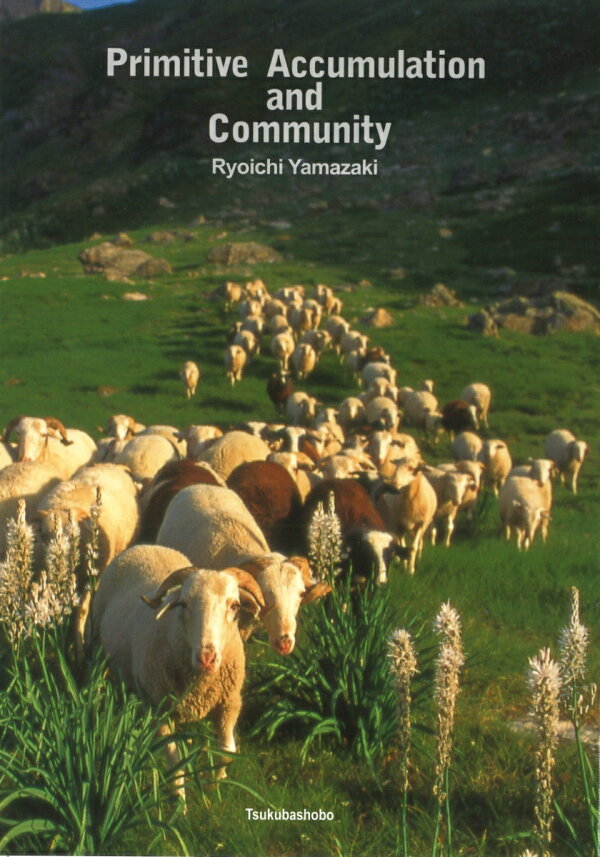 楽天ブックス: Primitive Accumulation and Community - 山崎 亮一 - 9784811906881 : 本