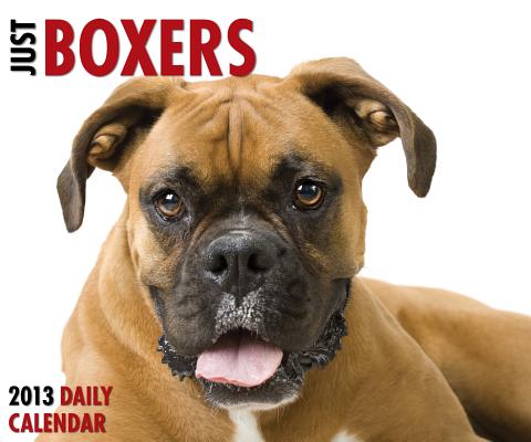 楽天ブックス: Just Boxers Daily Calendar - Willow Creek Press - 9781607557074 ...