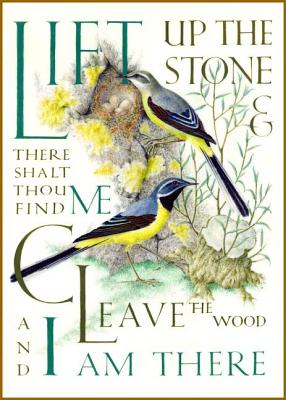 楽天ブックス: Marie Angel Birds Inspirational Greeting Card - Marie Angel ...