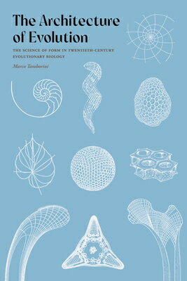 楽天ブックス: The Architecture of Evolution: The Science of Form in Twentieth ...