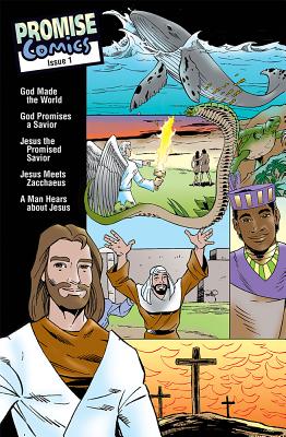 楽天ブックス: Promise Comics, Issue 1 - Erin MacKenzie - 9780758657428 : 洋書