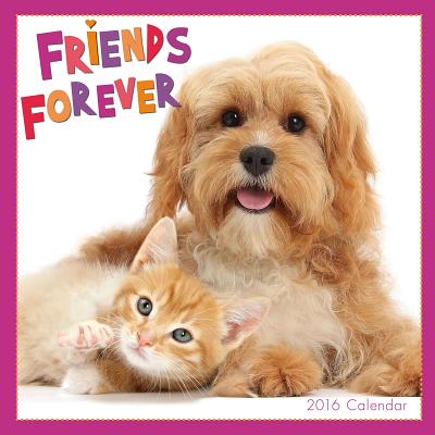 楽天ブックス: Friends Forever Calendar - Inc Sellers Publishing ...