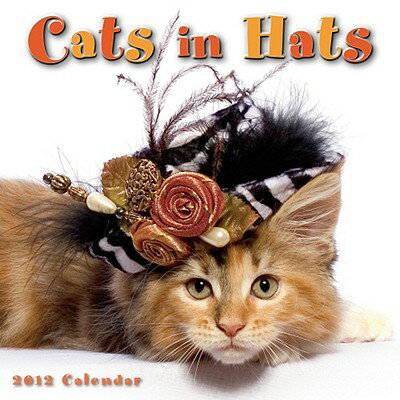 楽天ブックス: Cats in Hats Calendar - Cindy Pitts - 9781416287629 : 洋書