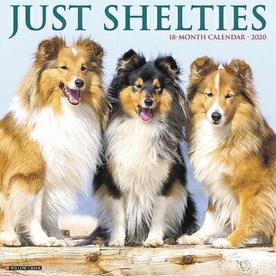 楽天ブックス: Just Shelties 2020 Wall Calendar (Dog Breed Calendar) - Willow ...