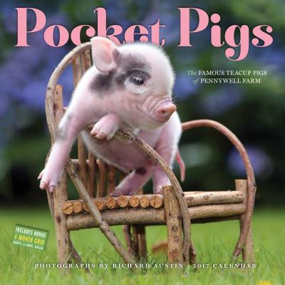 楽天ブックス: Pocket Pigs Wall Calendar 2017: The Famous Teacup Pigs of ...