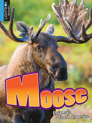 楽天ブックス: Moose - Nick Winnick - 9781510508095 : 洋書