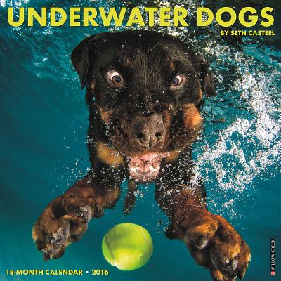 楽天ブックス: Underwater Dogs Calendar - Seth Casteel - 9781623438159 : 洋書