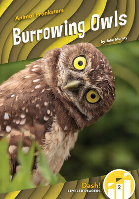 楽天ブックス: Burrowing Owls - Julie Murray - 9781098228330 : 洋書