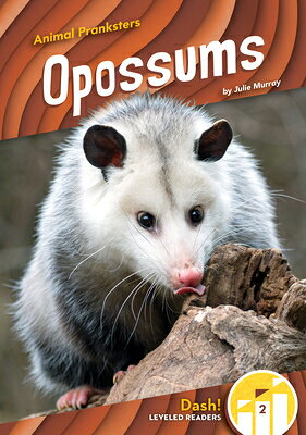 楽天ブックス: Opossums - Julie Murray - 9781098228354 : 洋書
