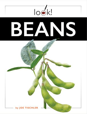 楽天ブックス: Beans - Joe Tischler - 9781640268517 : 洋書
