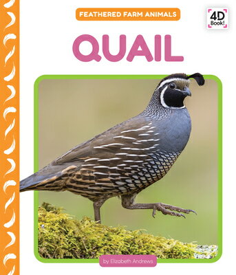 楽天ブックス: Quail - Elizabeth Andrews - 9781098248574 : 洋書