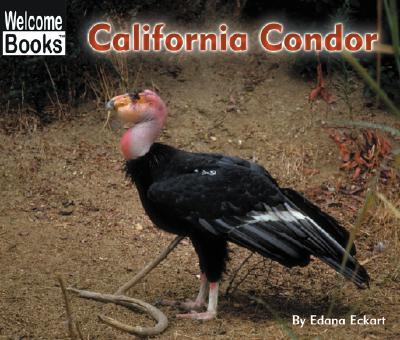 楽天ブックス: California Condor - Edana Eckart - 9780516278834 : 洋書