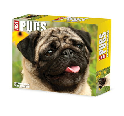 楽天ブックス: Pugs 2023 Box Calendar - Willow Creek Press - 9781549229084 : 洋書