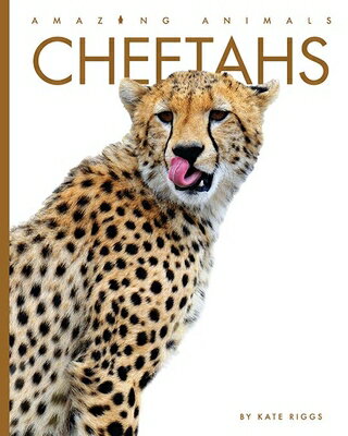 楽天ブックス: Cheetahs - Kate Riggs - 9781628329117 : 洋書