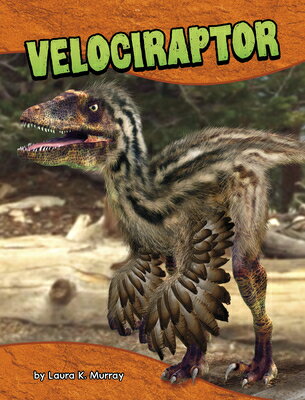 楽天ブックス: Velociraptor - Laura K. Murray - 9780756589158 : 洋書