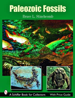 楽天ブックス: Paleozoic Fossils - Bruce L. Stinchcomb - 9780764329173 : 洋書