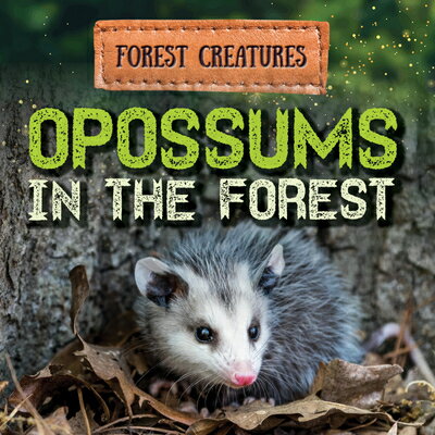 楽天ブックス: Opossums in the Forest - Sophie Washburne - 9781538279175 : 洋書