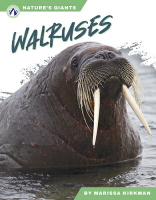 楽天ブックス: Walruses - Marissa Kirkman - 9781637389416 : 洋書
