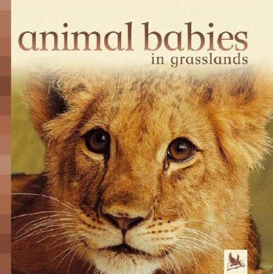 楽天ブックス: Animal Babies in Grasslands - Kingfisher Books - 9780753459430 : 洋書