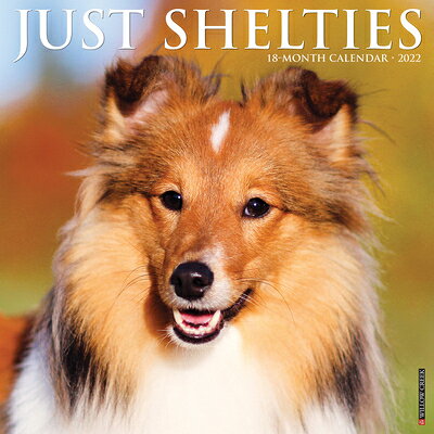 楽天ブックス: Just Shelties 2022 Wall Calendar (Dog Breed) - Willow Creek ...