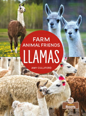 楽天ブックス: Llamas - Amy Culliford - 9781039659650 : 洋書