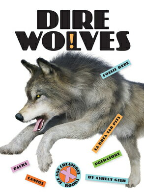 楽天ブックス: Dire Wolves - Ashley Gish - 9781628329667 : 洋書