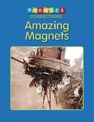 楽天ブックス: Amazing Magnets - Wiley Blevins - 9781625219718 : 洋書