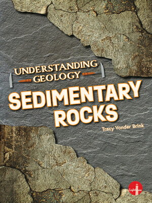 楽天ブックス: Sedimentary Rocks - Tracy Vonder Brink - 9781638979852 : 洋書