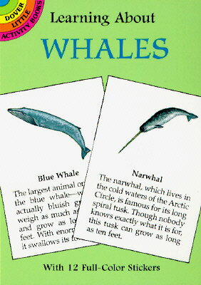 楽天ブックス: LEARNING ABOUT WHALES - SY BARLOWE - 9780486297873 : 洋書