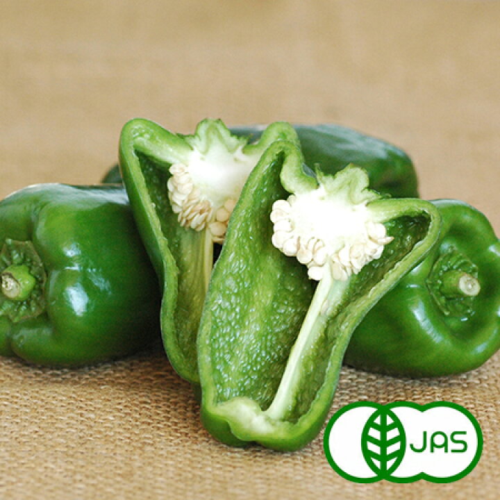 ピーマン ぴーまん 130g 九州産 鹿児島 宮崎 熊本産 非常に高い品質