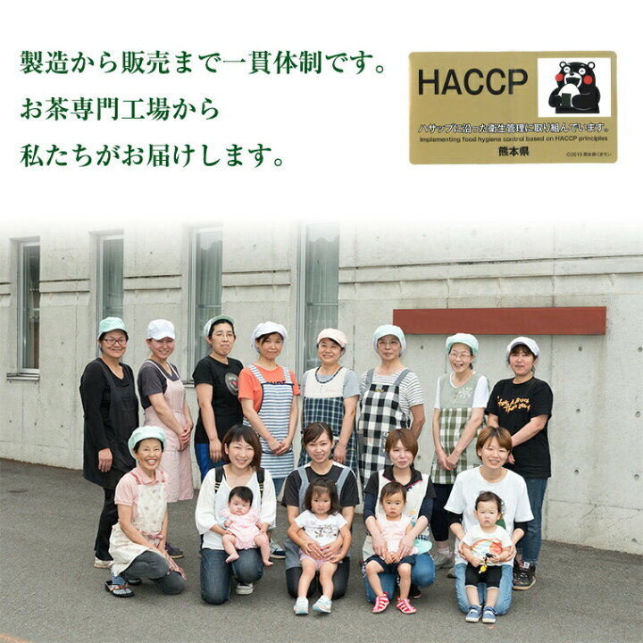 ルイボスティー 2g×100p 特別限定パック オーガニック原料使用 残留農薬検査済み 送料無料 北海道 沖縄 離島も無料配送可 森のこかげ ハーブティー 売れ筋 ー品販売