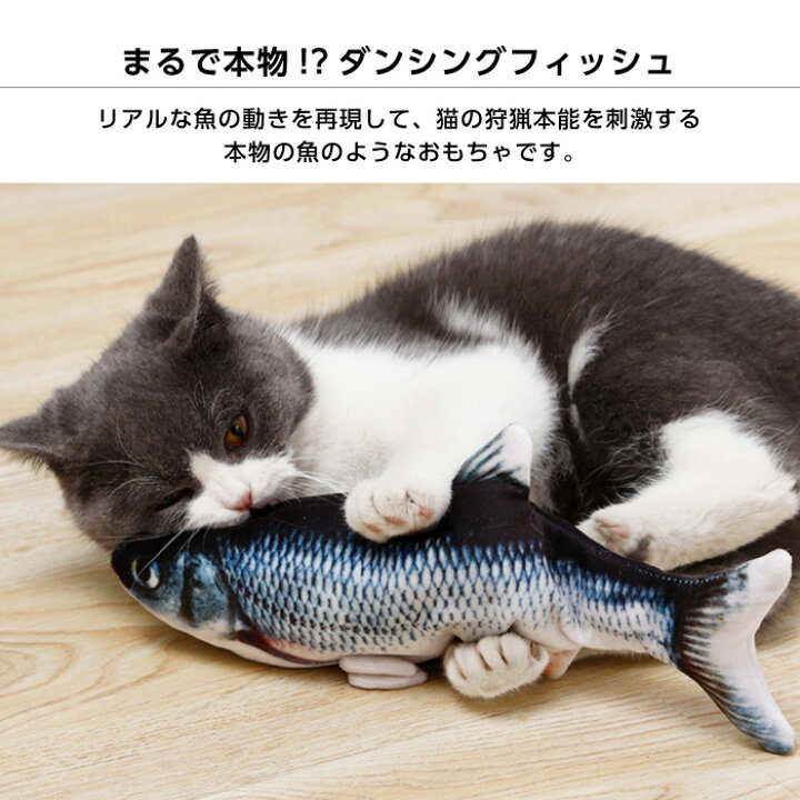 動くネコ 玄関先迄納品