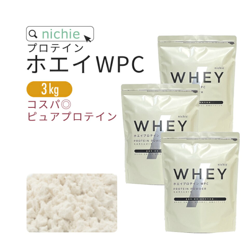 SAVE プロテイン プレーン 3kg WPC ホエイプロテイン 人口甘味料 香料 無添加 【2022春夏新色】