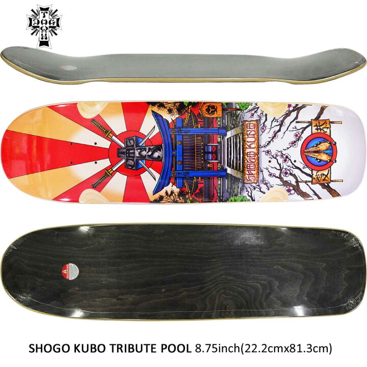 Shogo Kubo Dogtown