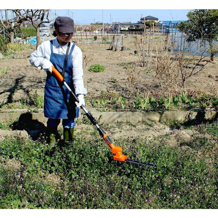 YARDFORCE ヤードフォース 3m剪定ポールバリカン Air 高枝 電動 軽量 のこぎり チェーンソー 価格 交渉 送料無料