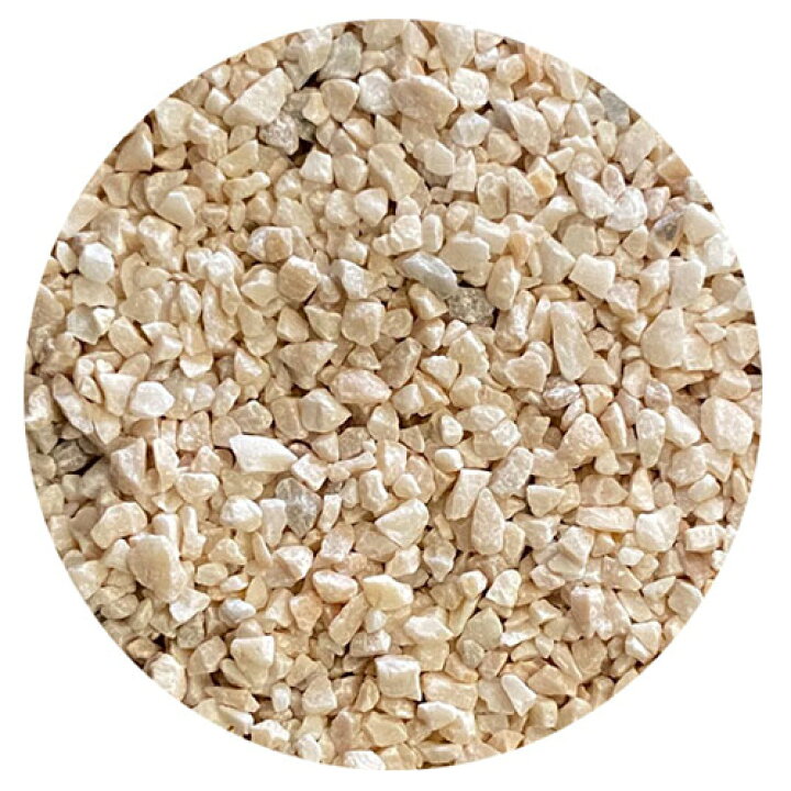 完全送料無料 JUN 極上サンゴ NO.15 5kg サンゴ砂 m-edge.co.jp