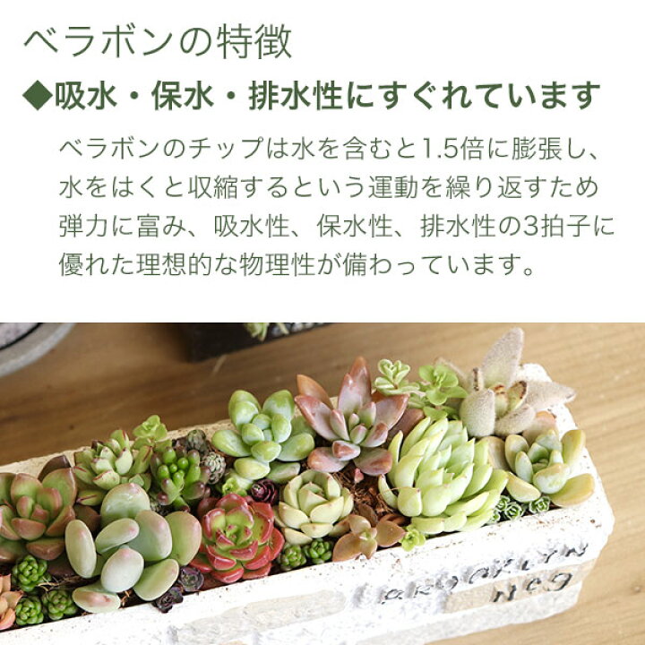 フジック ベラボン サキュレント 1L 【即出荷】