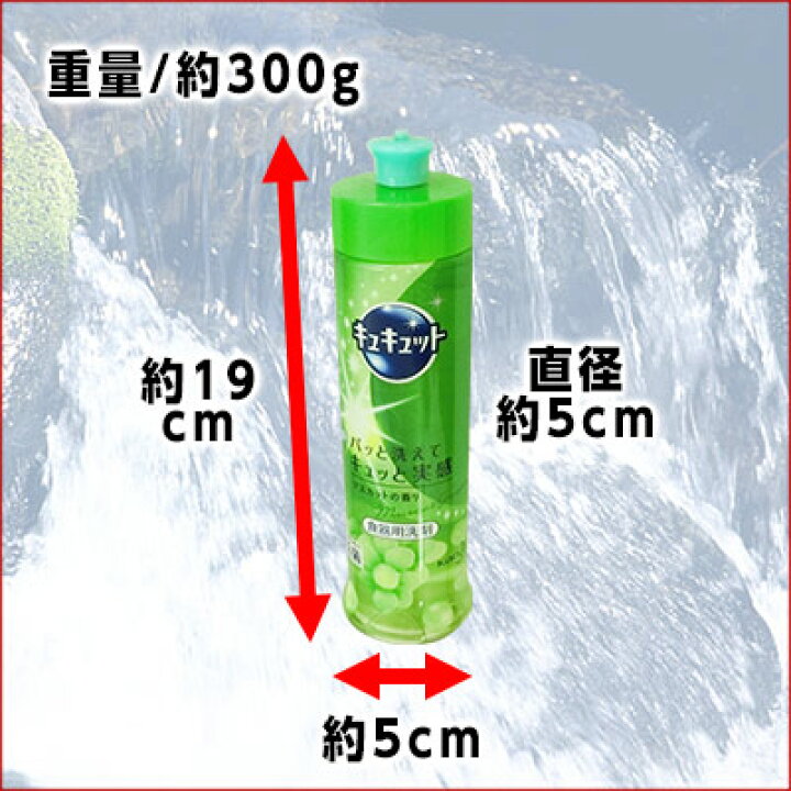 花王 キュキュット マスカットの香り 本体 240mL 食器用洗剤 早割クーポン