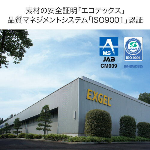 【楽天市場】エクスジェル メーカー公式 EXGEL ミニプニ PUN10 日本製 クッション ジェルクッション 持ち運び 携帯用 折りたたみ 旅行 スポーツ観戦 遊園地 テーマパーク 体圧分散 ...