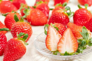 【楽天市場】【ふるさと納税】CE178長崎県知事賞受賞【厳選いちご】「ゆめのか（2L～3L）」260g×4パック＜1～4月にお届け＞ ／カン ...