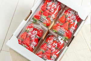 【楽天市場】【ふるさと納税】CE178長崎県知事賞受賞【厳選いちご】「ゆめのか（2L～3L）」260g×4パック＜1～4月にお届け＞ ／カン ...