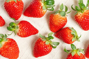 【楽天市場】【ふるさと納税】CE178長崎県知事賞受賞【厳選いちご】「ゆめのか（2L～3L）」260g×4パック＜1～4月にお届け＞ ／カン ...