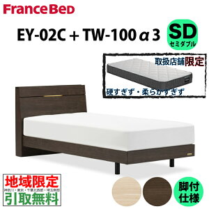 価格.com - フランスベッド エディ EY-02C レッグタイプ + TW-100α セミダブル (ベッド) 価格比較