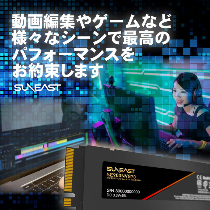 大坂商事SUNEAST 1TB SSD NAND Gen ×4 NVMe SE900NVG3-01TB PCIe 3D 内蔵型SSD | kochi-ot.main.jp