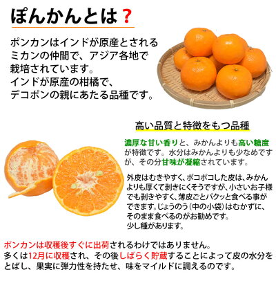 【楽天市場】ポンカン 10kg 訳あり 送料無料 みかん S～2L 熊本県産 ぽんかん デコポン ミカン 蜜柑：Foody’s