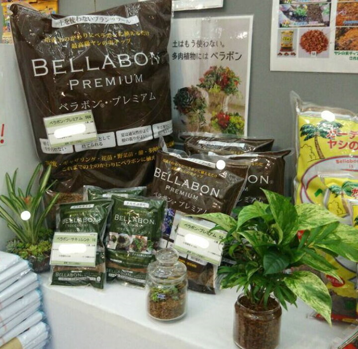 ベラボン プレミアム 5L 在庫一掃売り切りセール