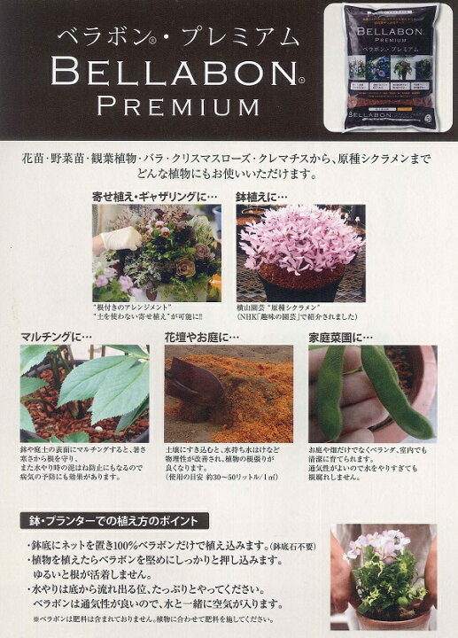 ベラボン プレミアム 5L 在庫一掃売り切りセール